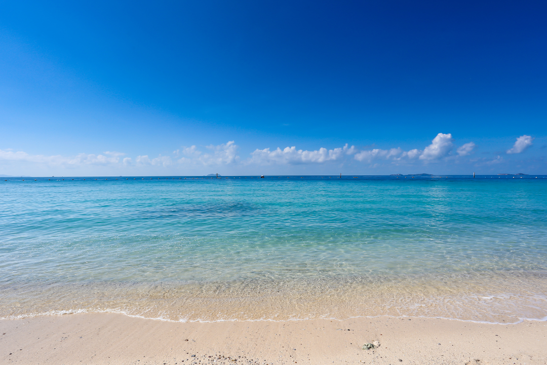 Step by Step Relaxation Meditation by Jenny Chen – 全球超世紀催眠研究協會 GTHA